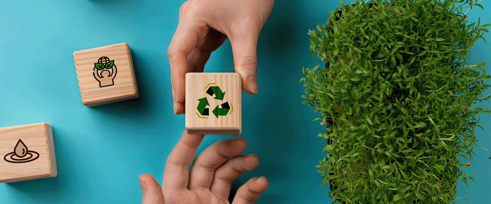 Starlight Packaging Pvt Ltd – Best Manufacturer in Mumbai